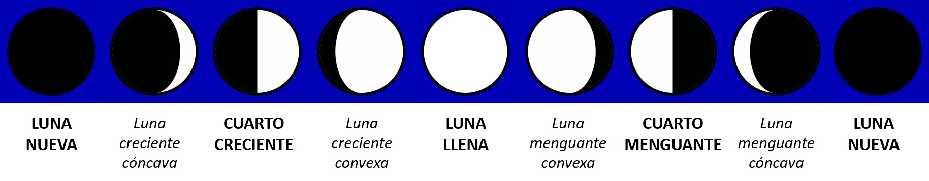 Fases de la Luna (con imágenes) — Saber es práctico Fases de la Luna (con imágenes) — Saber es práctico
